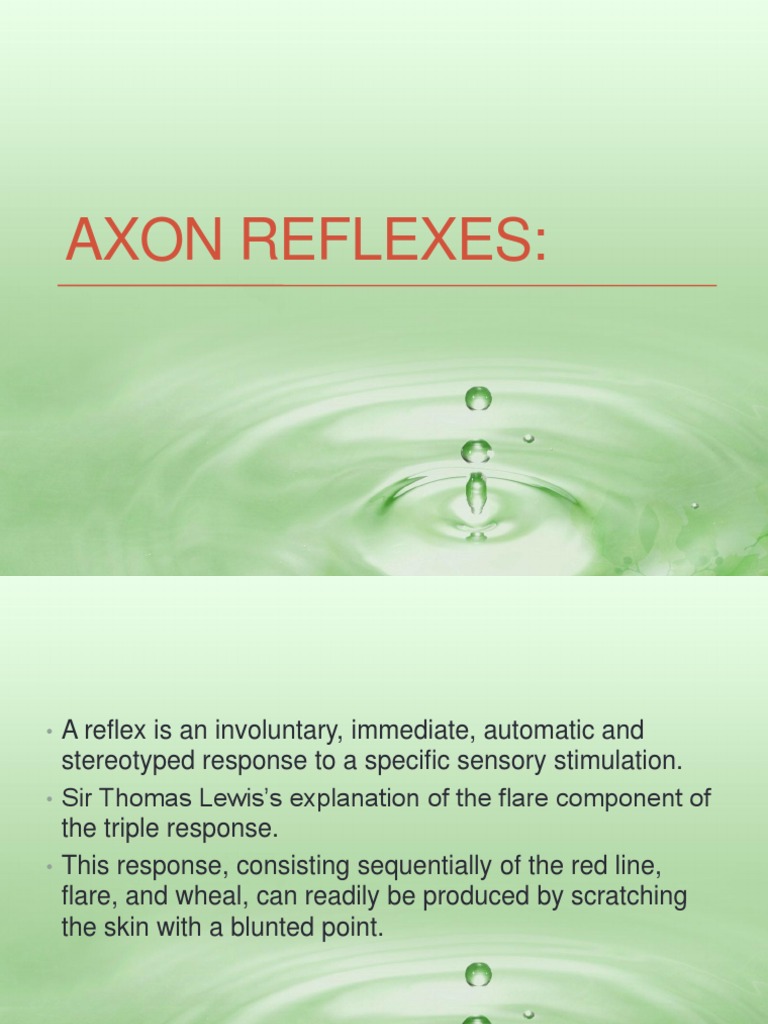 Axon Reflex | PDF | Neuromuscular Junction | Neurobiology