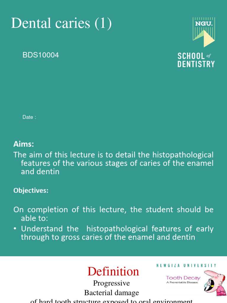 BDS 10004 Dental Caries 1 | PDF | Tooth Enamel | Human Tooth