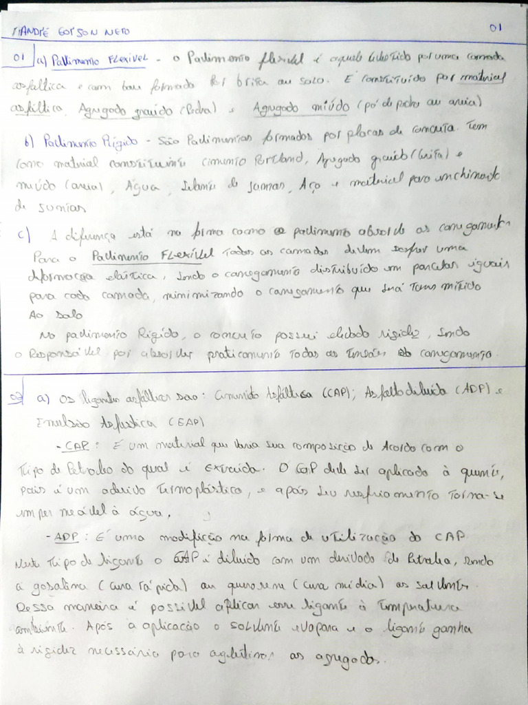 p1 André Neto | PDF