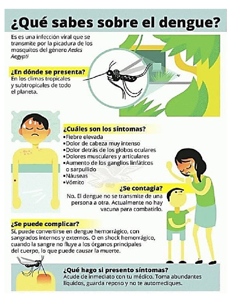 FICHA INFORMATIVA 19 DE ABRIL C Y T Hacer Frente Al Dengue en Una ...