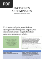 Incisiones Quirúrgicas | PDF | Abdomen | Anatomía
