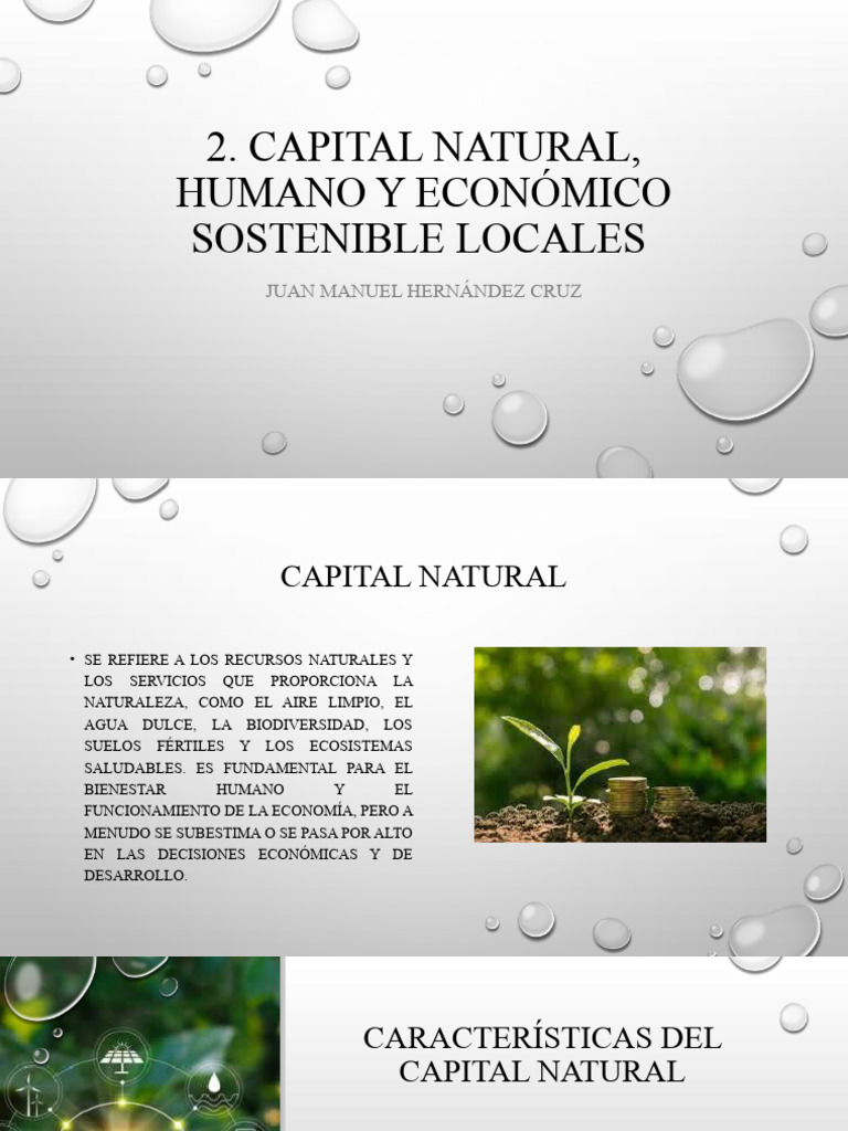 Capital Natural y Sostenibilidad Local | PDF | Business | Capital humano