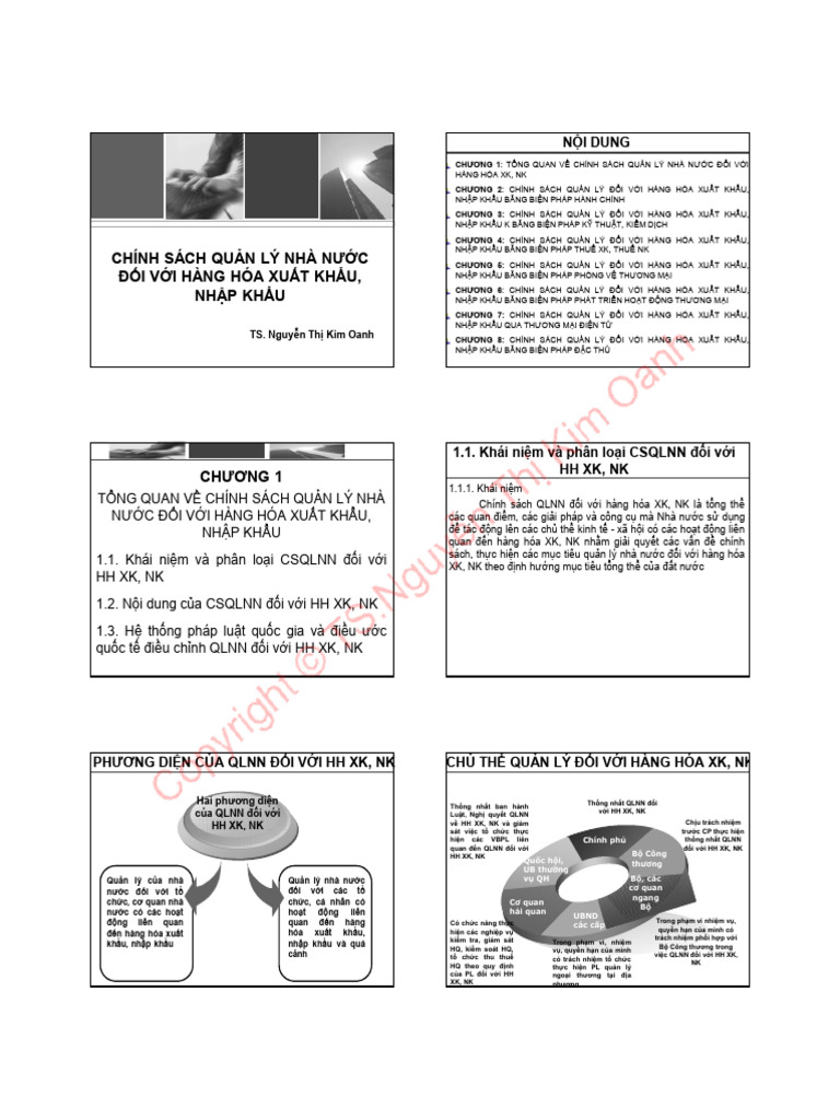 CSQLHH XNK-TS Nguyen Thi Kim Oanh (C) | PDF