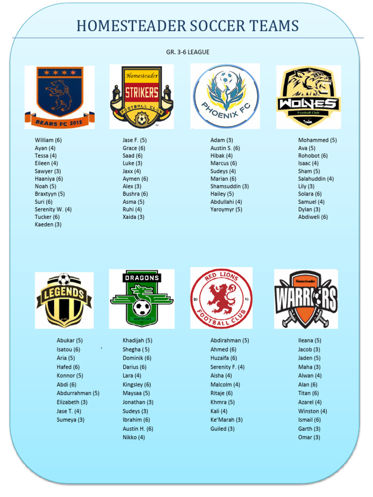 Homesteader Soccer Teams Grades 3-6 | PDF