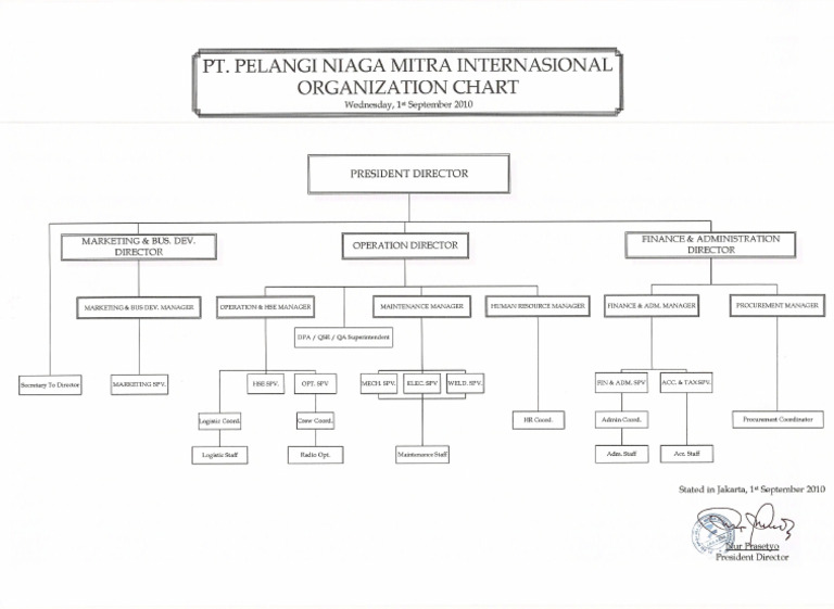 PNMI OrgChart 2010 R3a | PDF