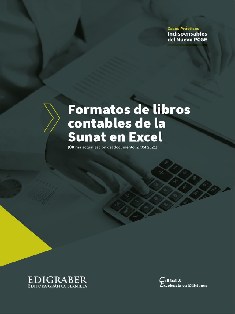 Formatos de Libros Contables de La Sunat en Excel | PDF | Contabilidad ...