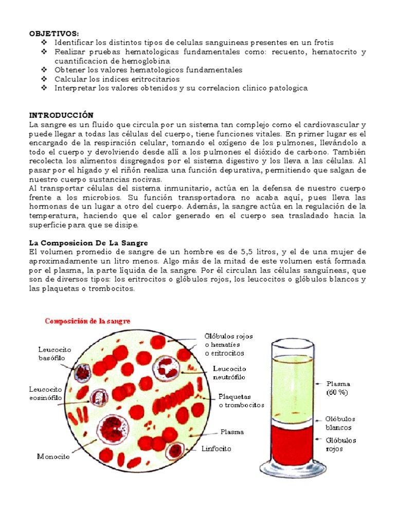 Formula Roja | Sangre | Leucocito