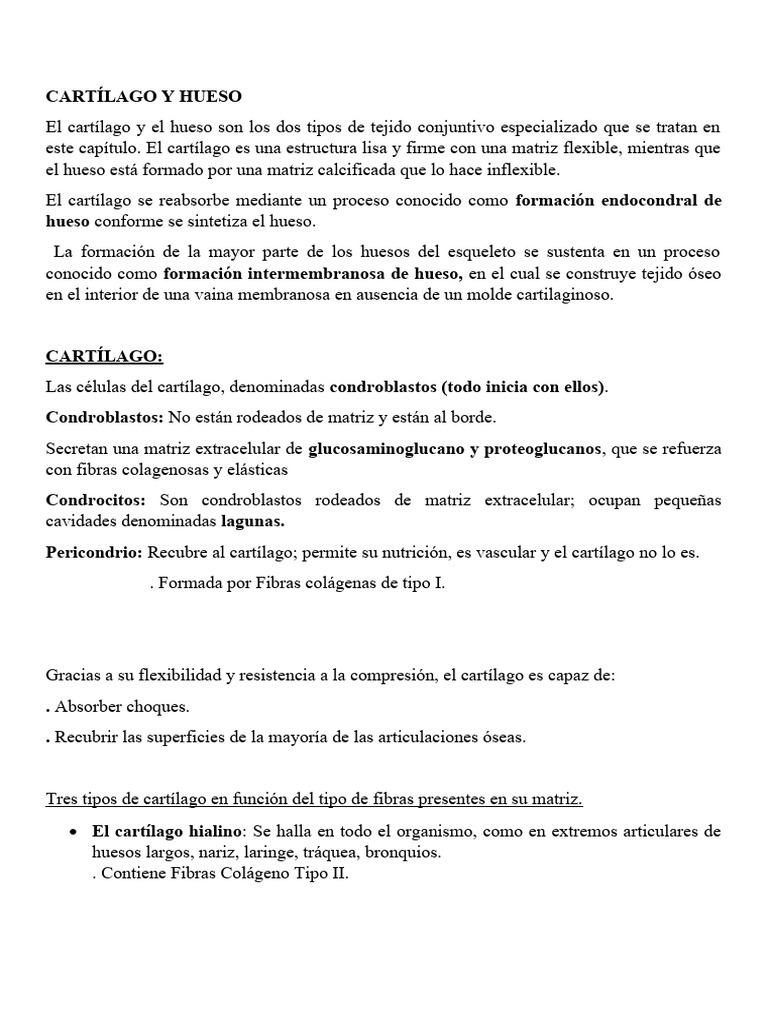 Cartílago y Hueso | PDF | Cartílago | Hueso