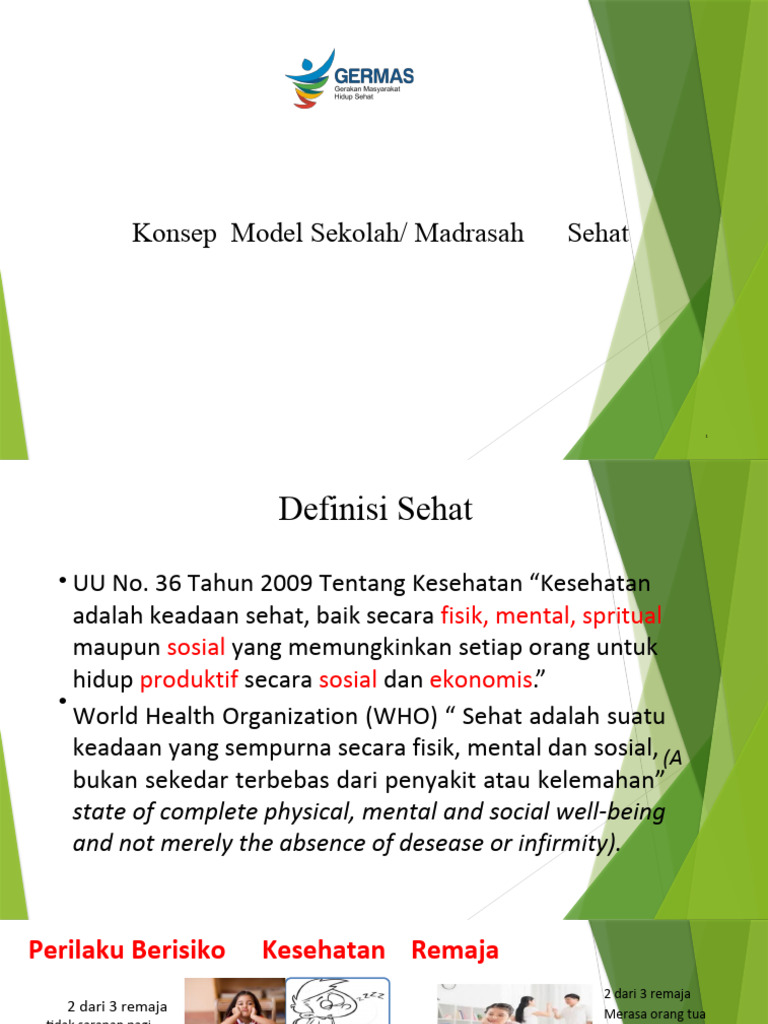 Model Sekolah Sehat untuk Remaja | PDF | Gaya Hidup