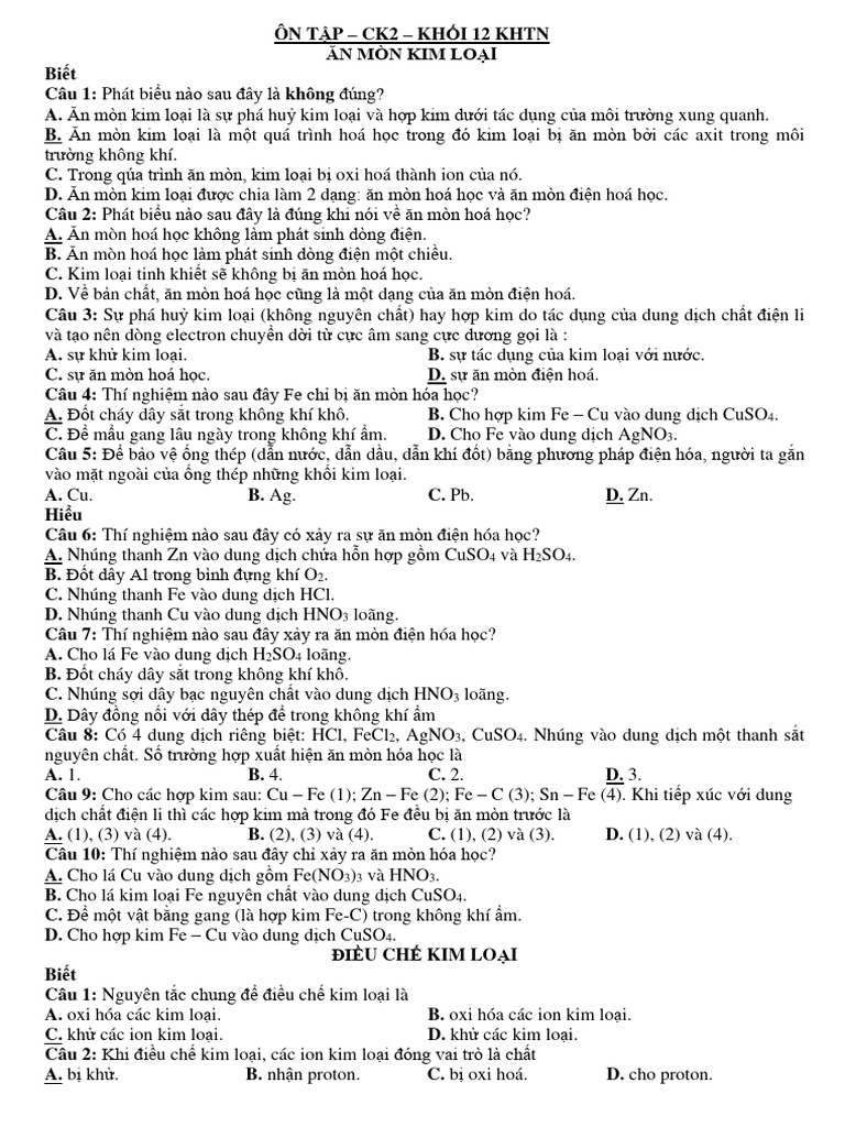 GV - Ôn Tap - CK2 - Khoi 12 TN | PDF