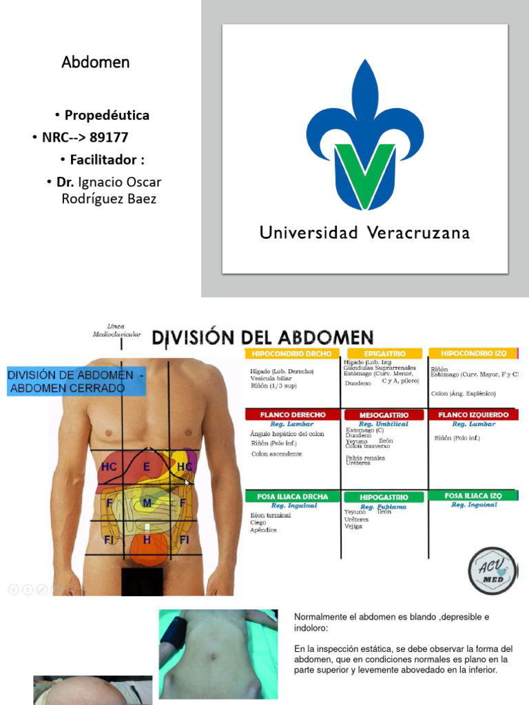 Presentación y Maniobras Abdomen | PDF | Abdomen | Intestino grueso
