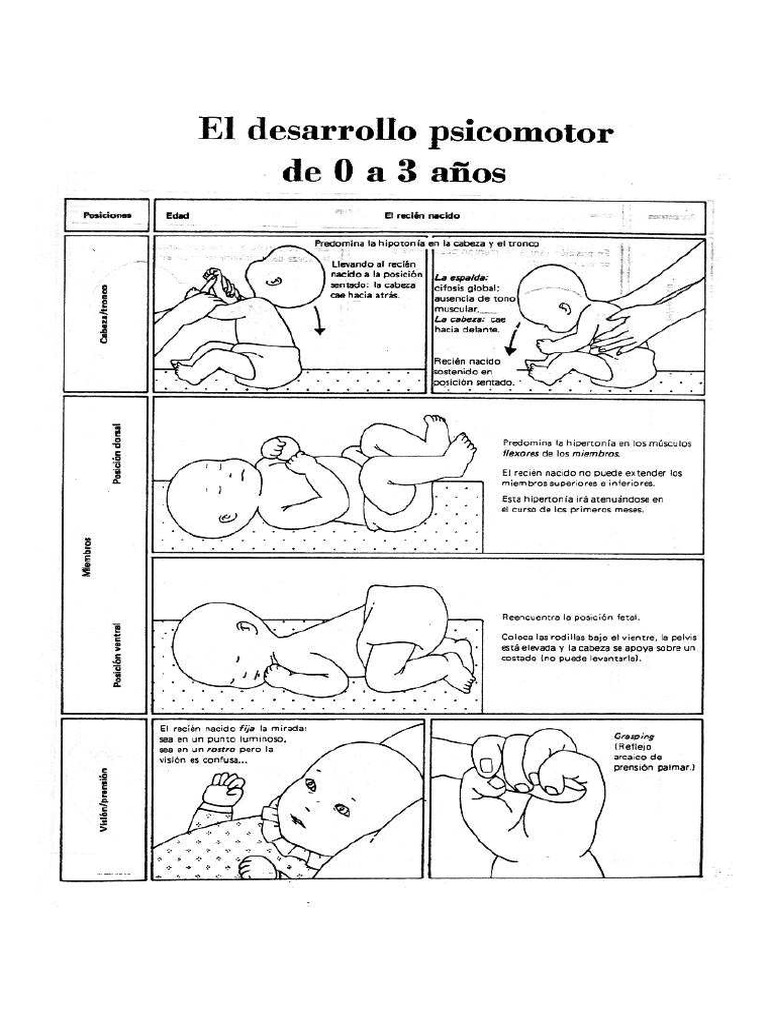 SEMANA 4 A - Guía de desarrollo psicomotor 0-3 años | PDF
