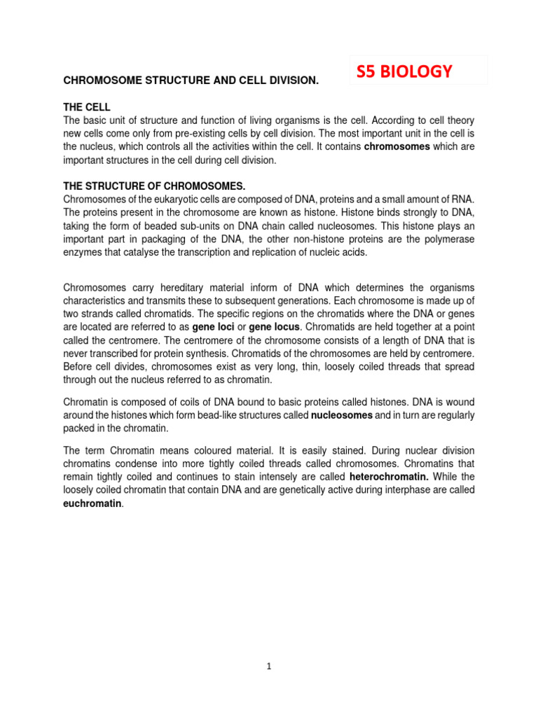 s5 Bio (Cell Division ) | PDF | Meiosis | Mitosis