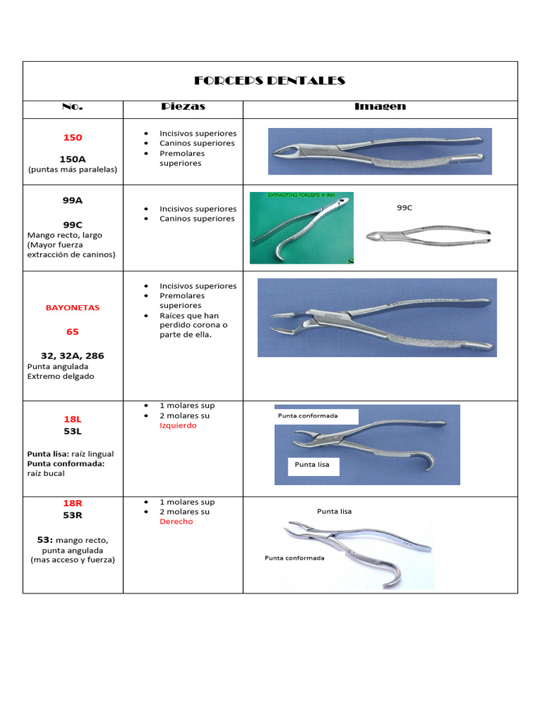 Forceps y Elevadores | PDF | Anatomia dental | Diente