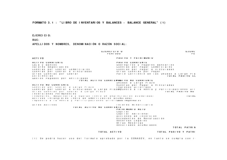 234 Formato31 | PDF