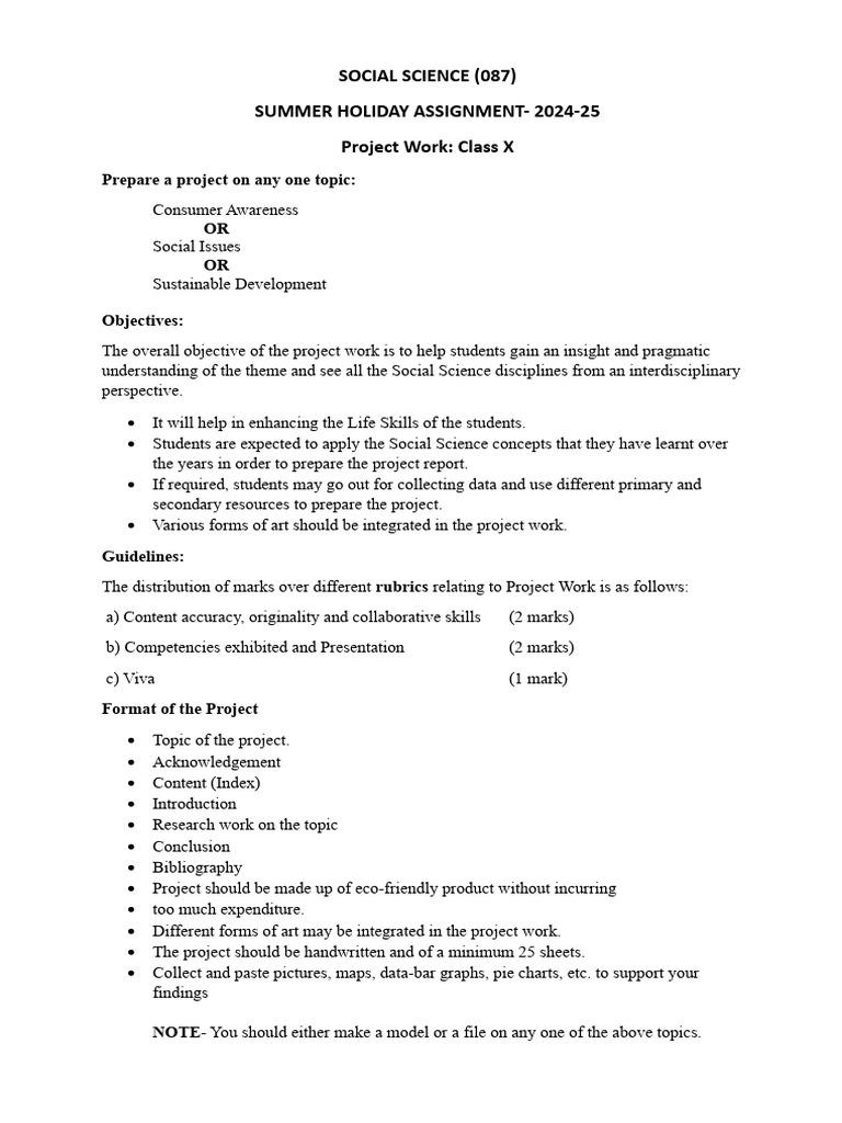 Summer Holiday Assignment - Class X Social Science (2024-25) | PDF | Career & Growth | Art
