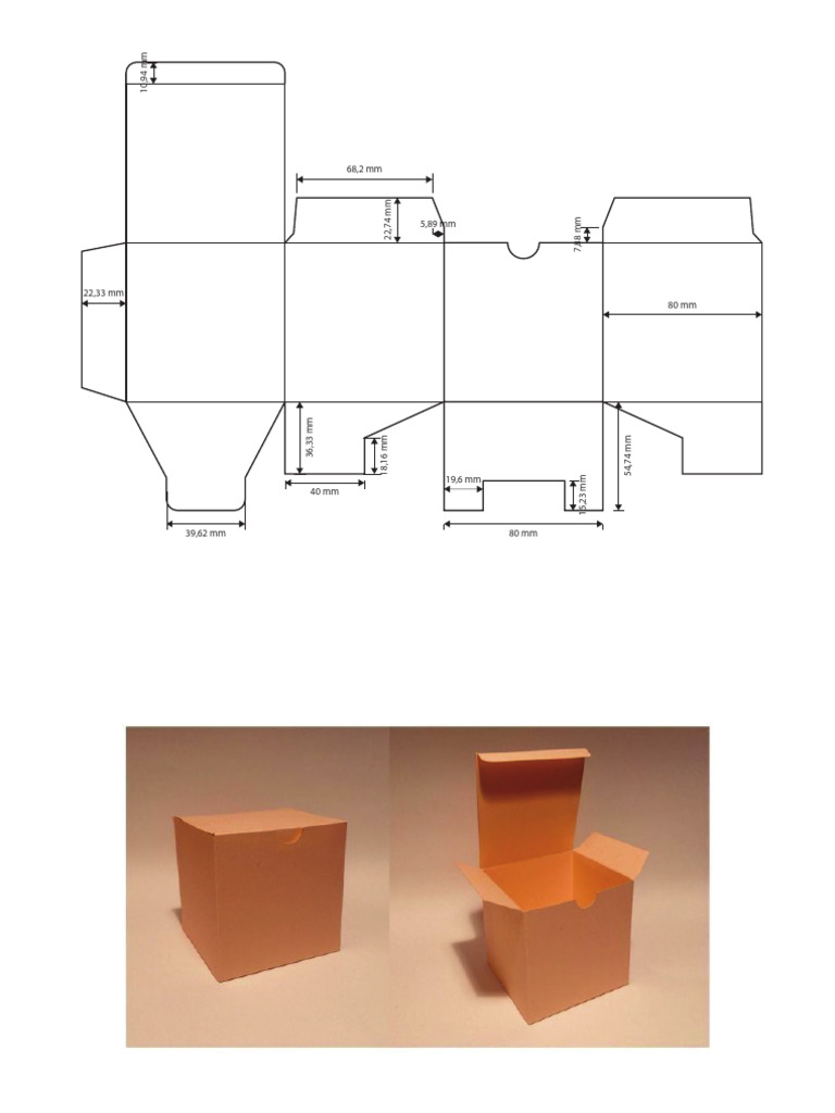 Empaque Primario | PDF