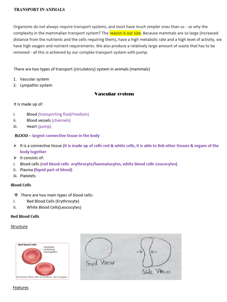 TRansport in Animals-CSEC Bio | PDF | Atrium (Heart) | Heart