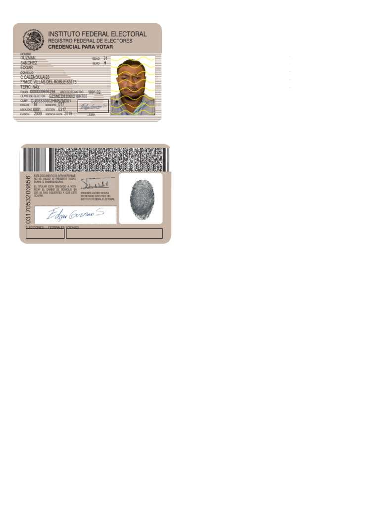 Ife Edgar Modi | PDF | Gobierno | Elecciones