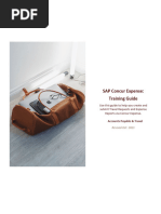Concur Guide for EY Expense Users | PDF | Value Added Tax | Expense