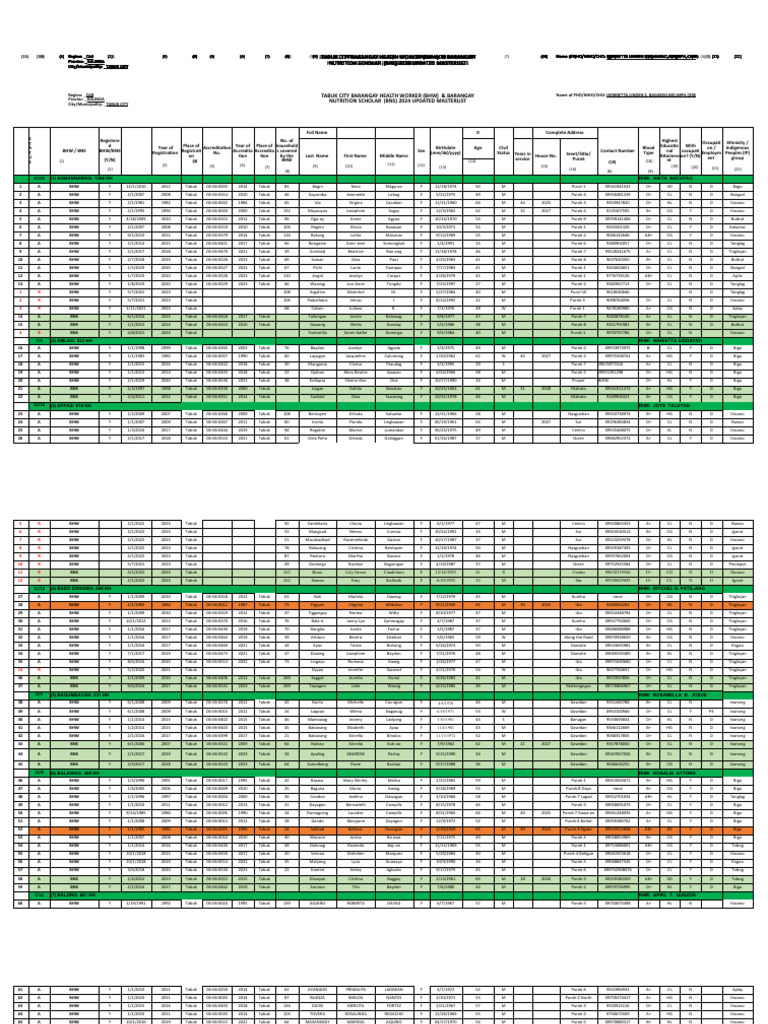 BHW Masterlist Bns and BHW Whole | PDF | Luzon | Philippines