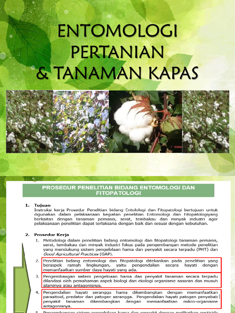 Entomologi Tanaman Serat Untuk Bimtek Teknisi Juni 2019 | PDF | Griya ...