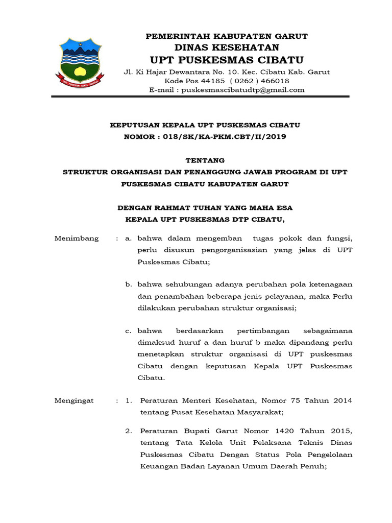 018 Sk Struktur Organisasi Dan Penanggung Jawab Program Tahun 2019 | PDF