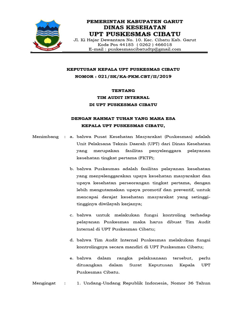 Tim Audit Internal Puskesmas Cibatu | PDF | Bisnis