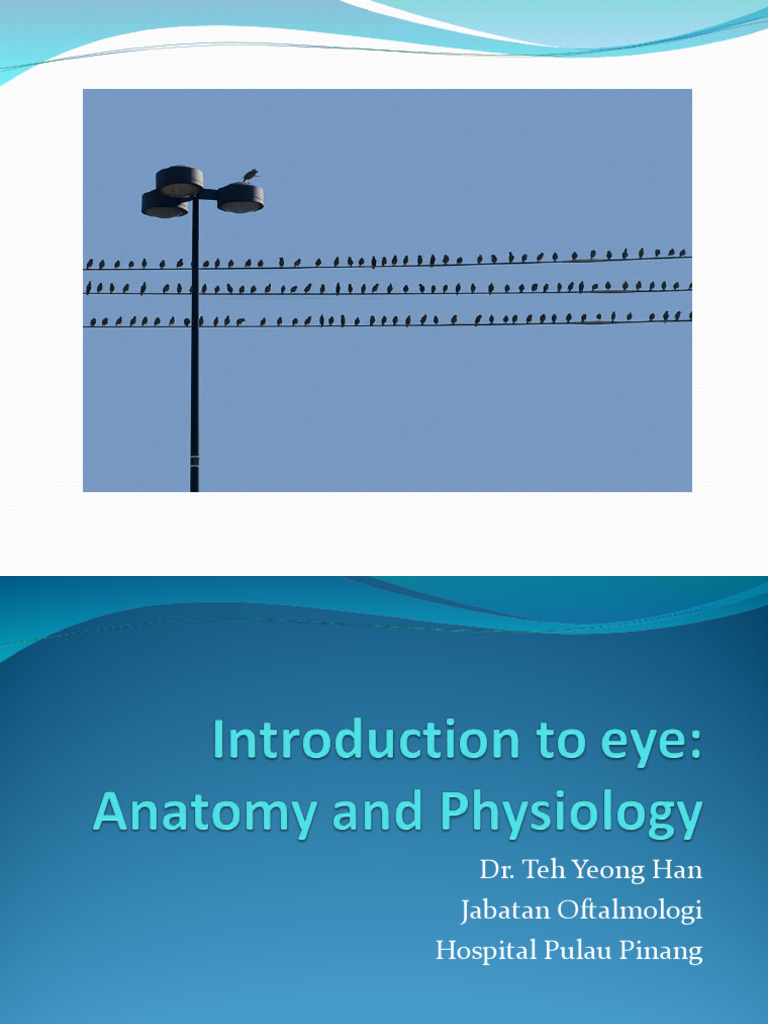 Introduction To Eye-Anatomy and Physiology | PDF | Ophthalmology | Visual Impairment