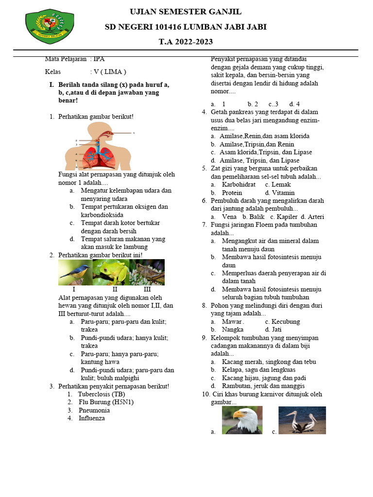 Soal Ujian Kelas 5 LBJ Ganjil | PDF