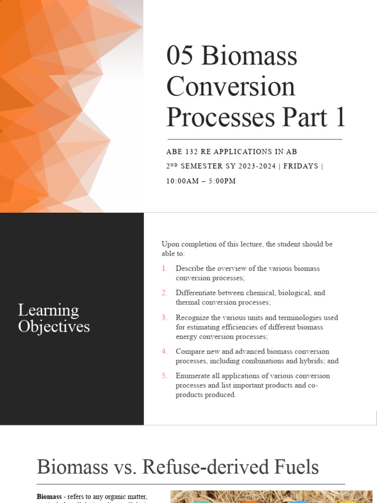 Biomass Conversion Processes Overview | PDF | Fuels | Biofuel