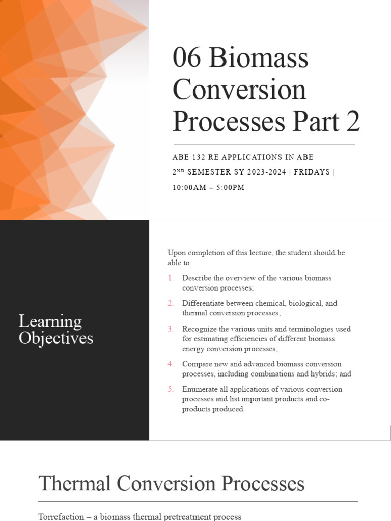 Biomass Conversion Processes Overview | PDF | Gasification | Pyrolysis