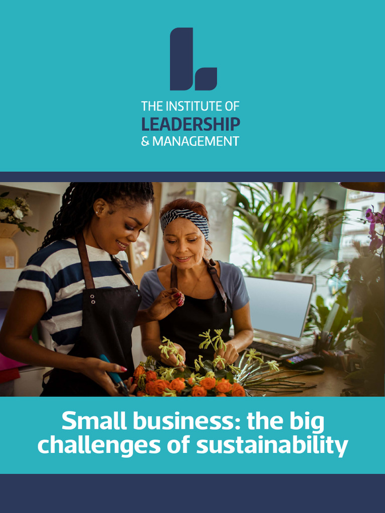 Small Business Sustainability Challenges | PDF | Small And Medium Sized ...