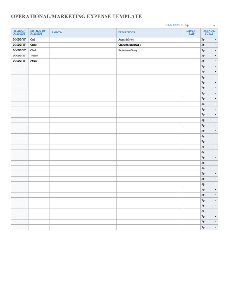 Expense Tracker Template Guide | PDF | Business | Financial Services
