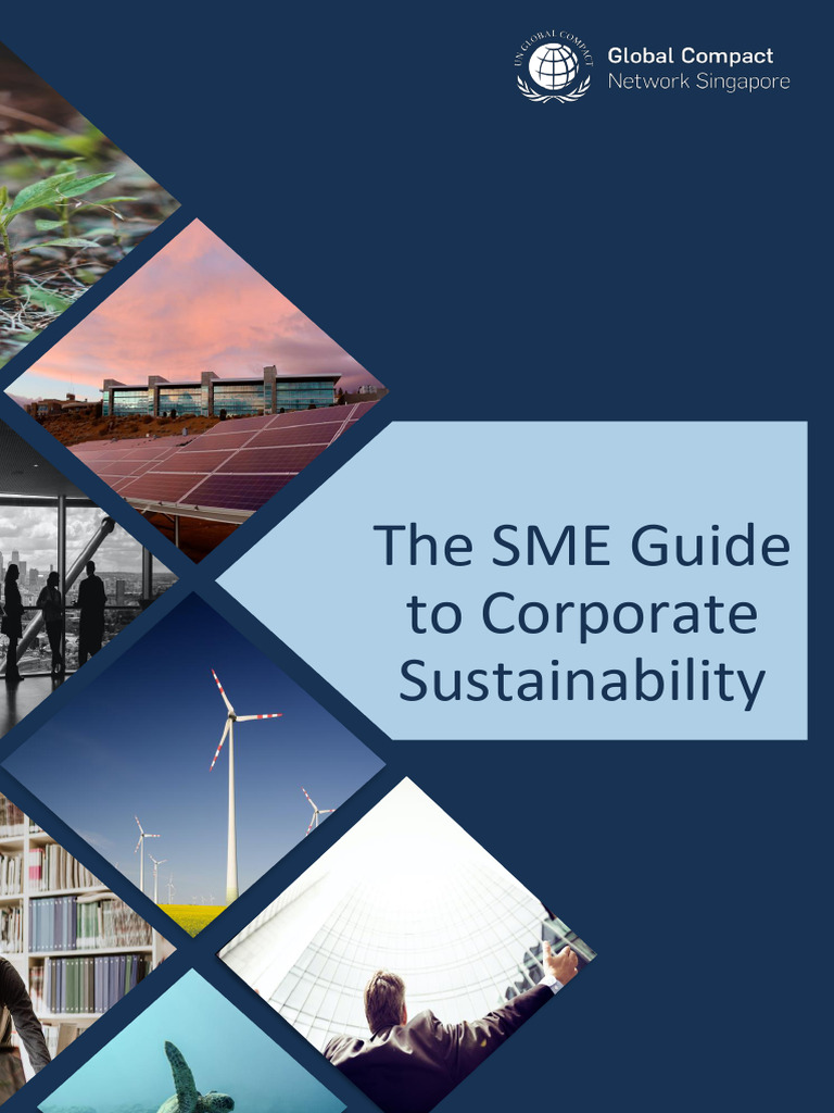 The SME Guide To Corporate Sustainability | PDF | Sustainability ...