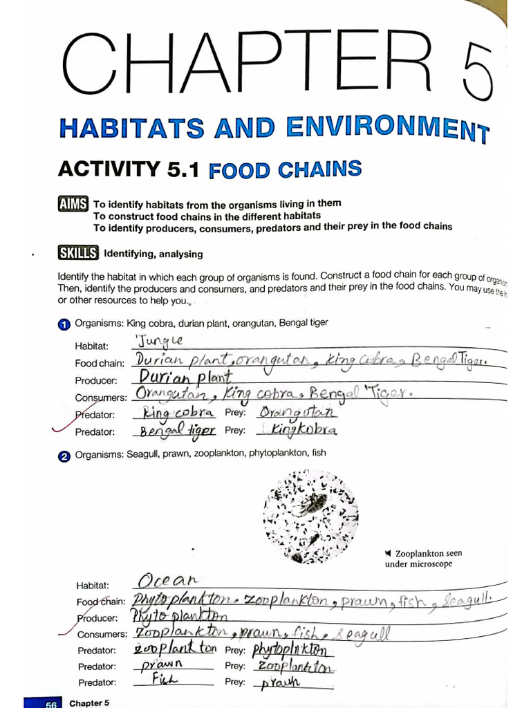 Science 6 Habitat and Environment | PDF