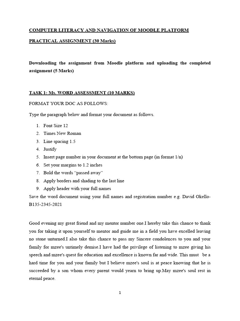 Computer Literacy Assessment | PDF | Text