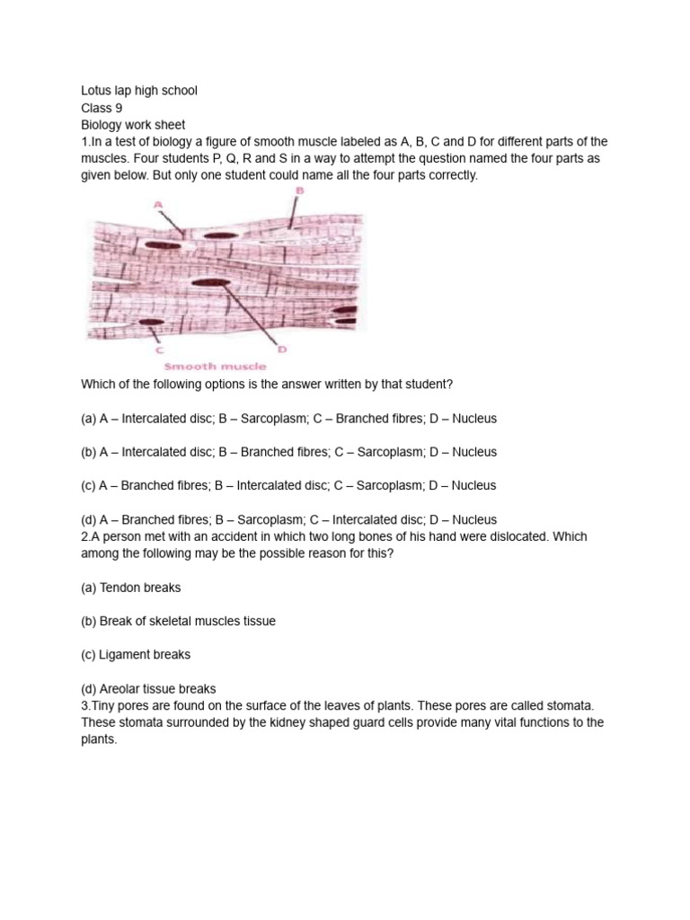 Class 9 Biology worksheet | PDF