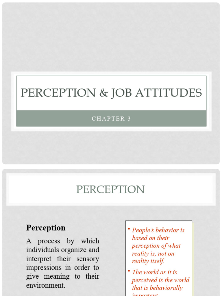 Chapter 3 - Perception & Job Attitdues | PDF | Attitude (Psychology) | Job Satisfaction