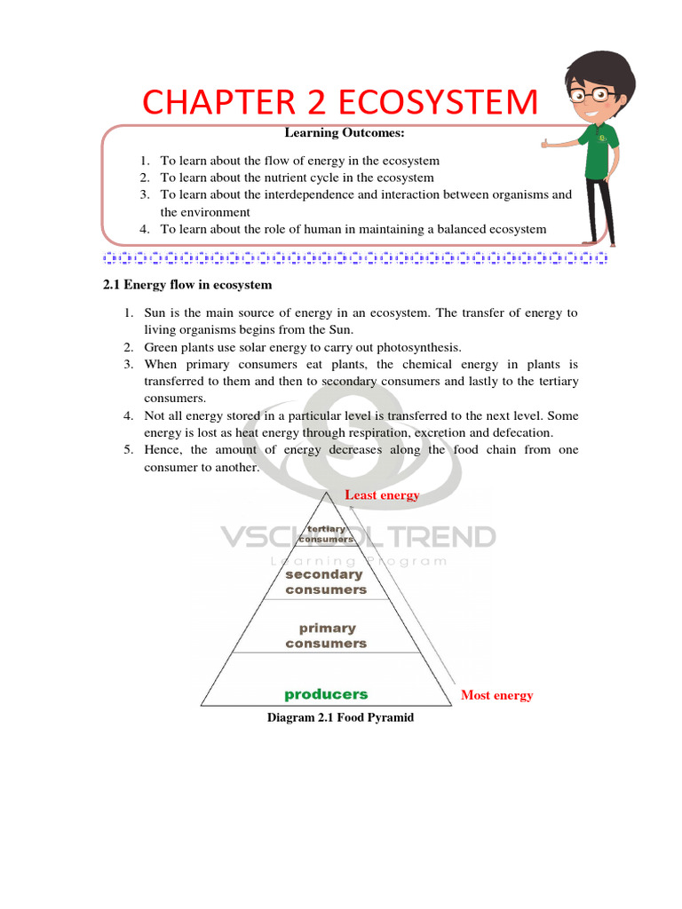 Chapter 2 Ecosystem: Learning Outcomes | PDF | Ecosystem | Food Web