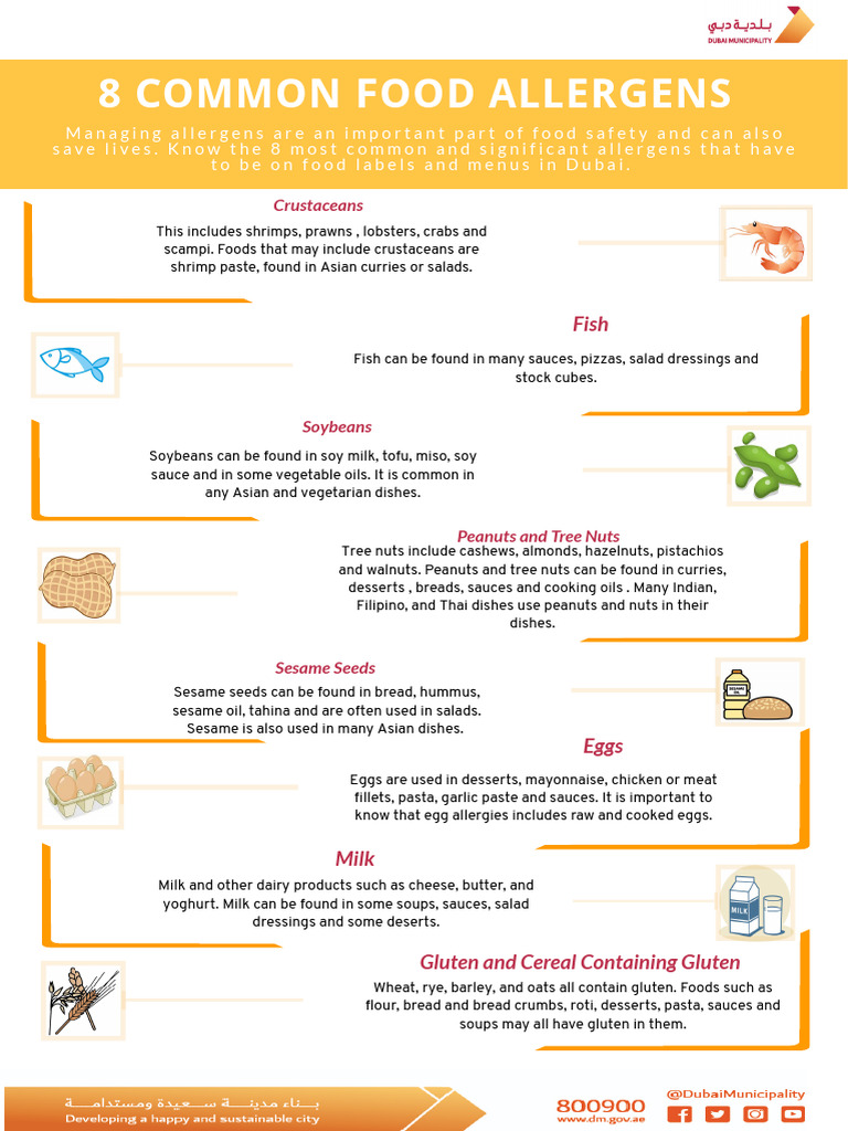 8 Common Food Allergens | PDF | Food Allergy | Soybean