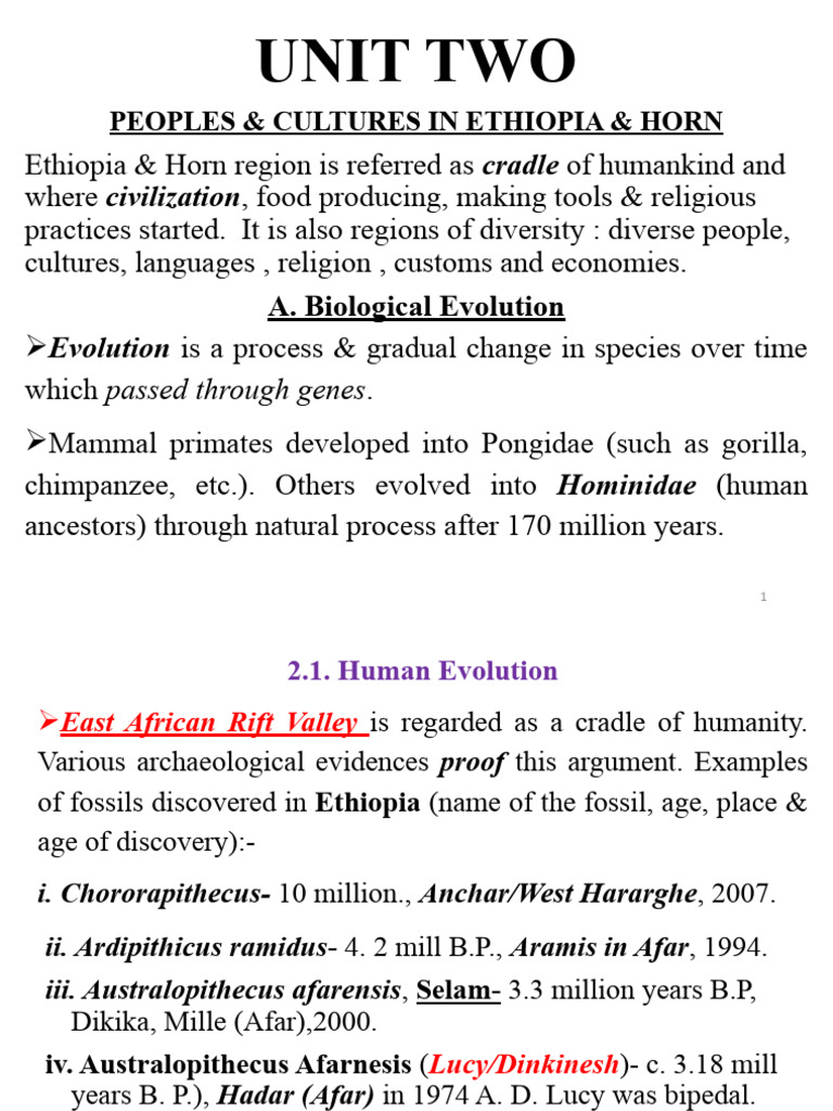 HST 2&3-1 | PDF | Stone Age | Human Evolution