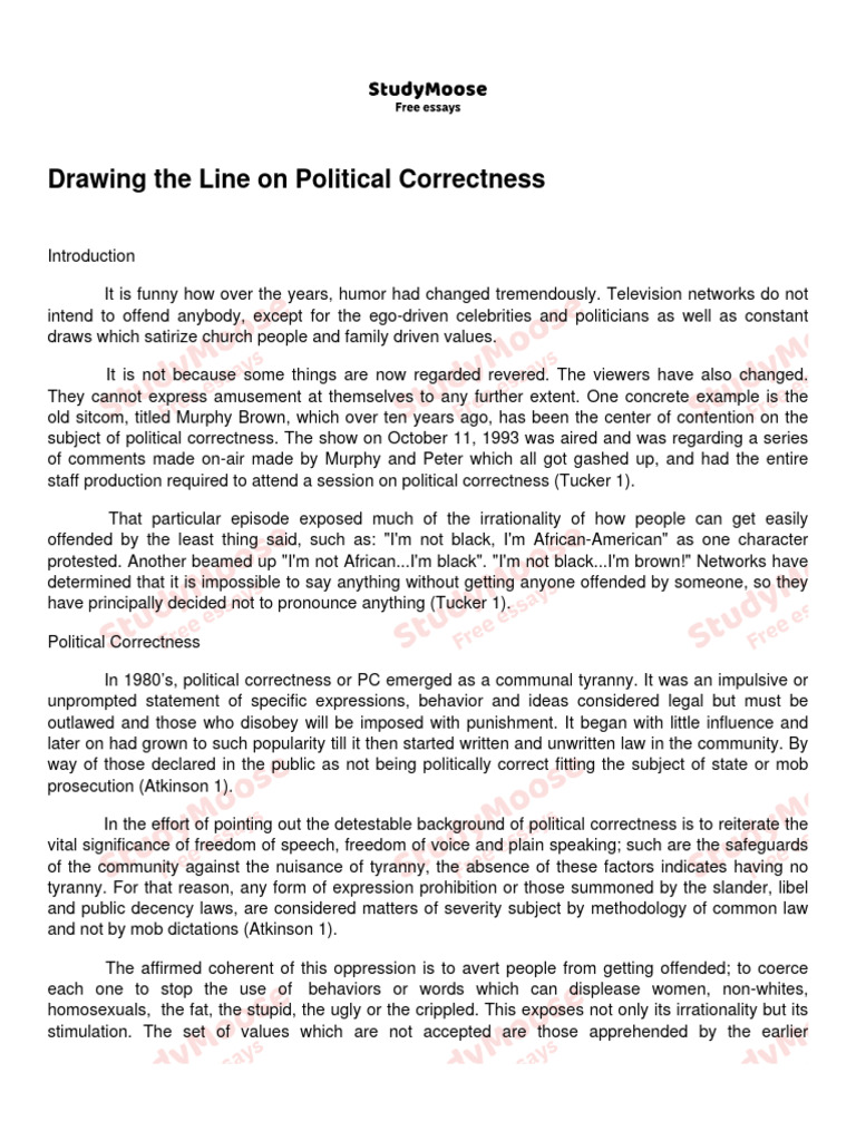 Understanding Political Correctness Today | PDF | Political Correctness ...