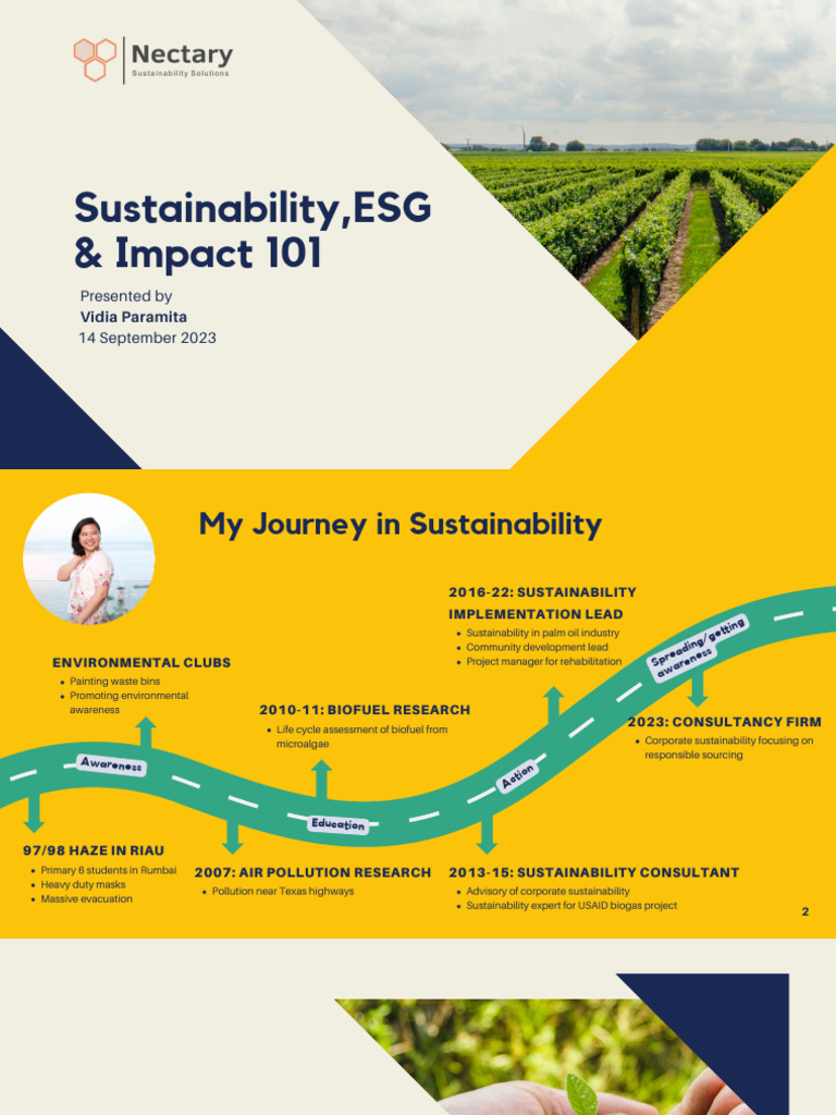 Understanding Sustainability and ESG | PDF | Sustainability | Economies