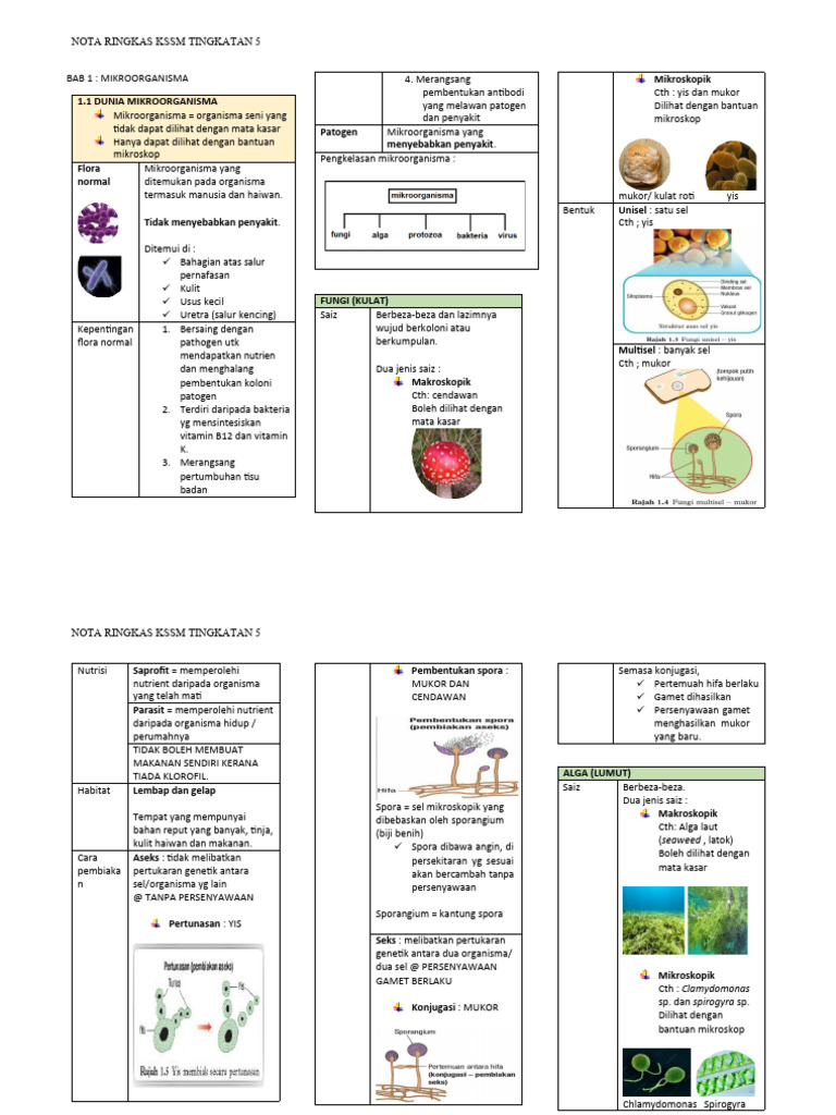 Nota Ringkas KSSM F5 | PDF