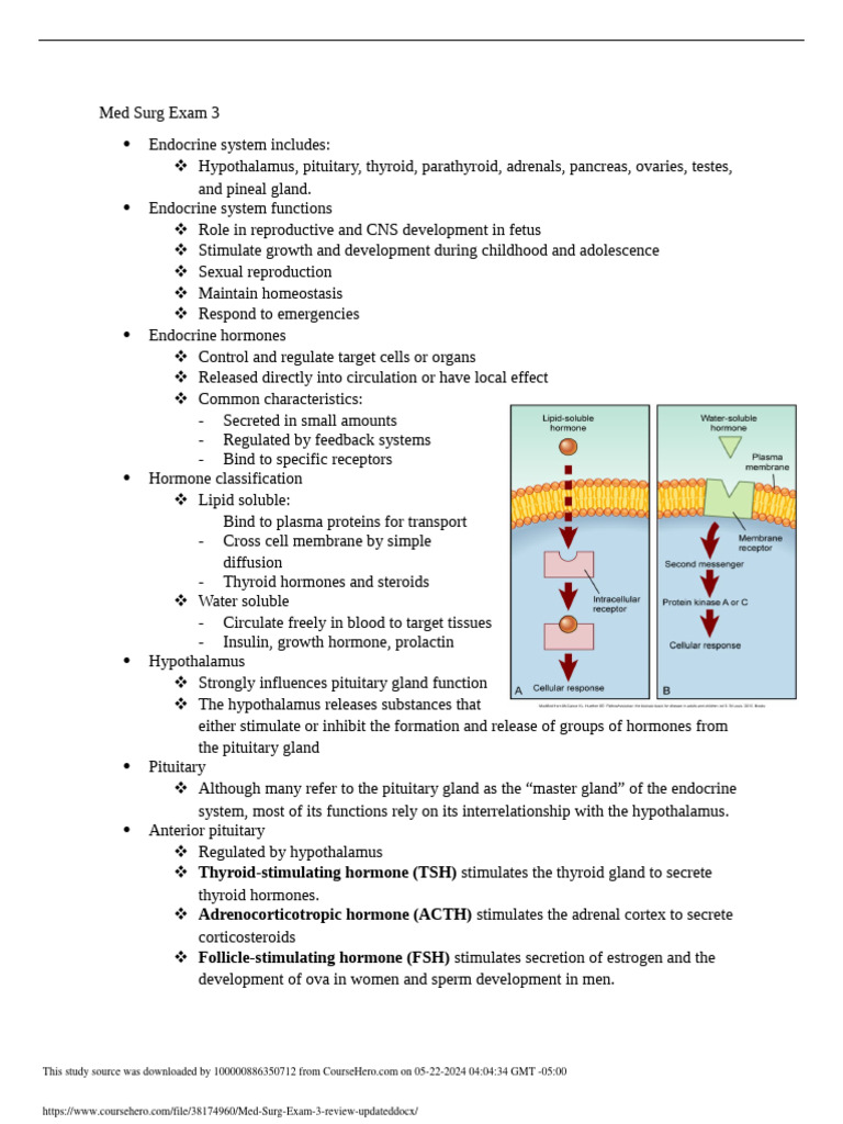 Endocrine System Overview for Med Surg Exam | PDF | Endocrine System ...