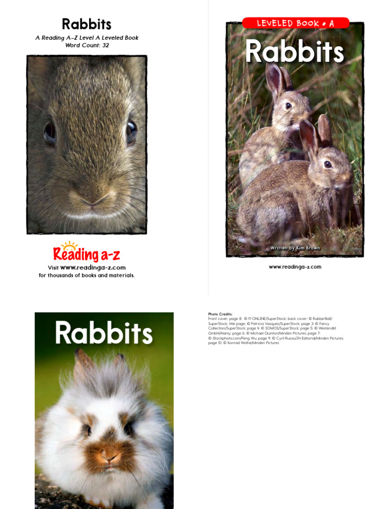 RAZ-A 019 Rabbits | PDF | Cognition | Cognitive Science