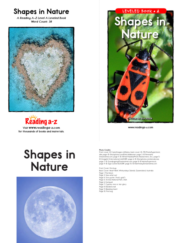 RAZ-A 016 Shapes in Nature | PDF | Linguistics | Learning