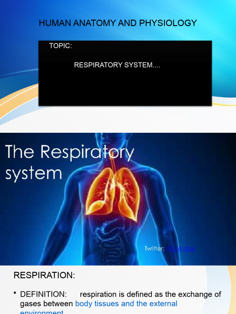 Human Anatomy and Physiology | PDF