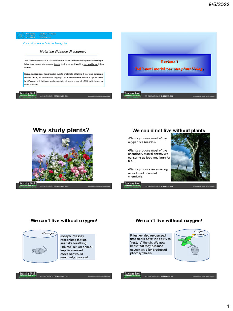 Why Study Plants?: We Could Not Live Without Plants | PDF | Fertilizer ...